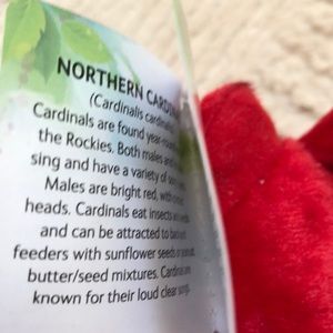 Wild Republic | Toys | Northern Cardinal Plush With Real Bird Calls Nwt ...
